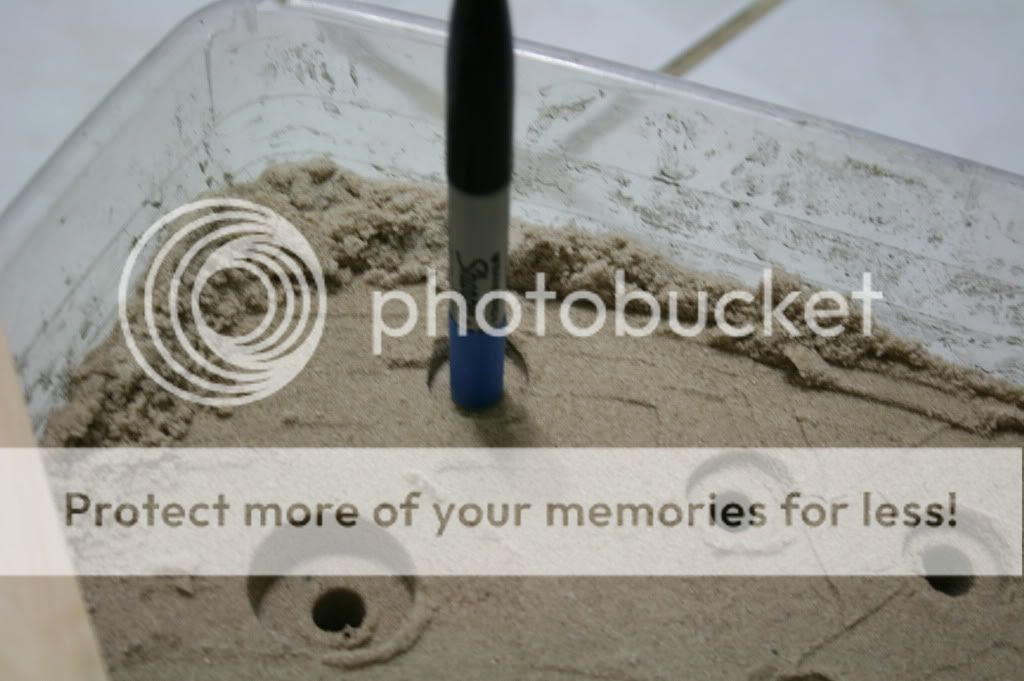 diy, frag plugs!!!!!!!!!!!!!!!!!!!!!! | Reef Sanctuary