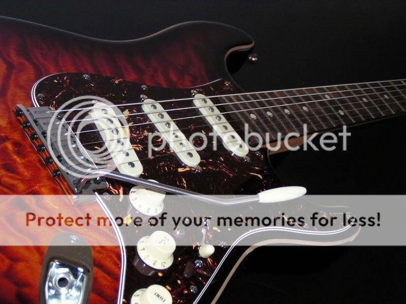 Fireburst Strat build | Unofficial Warmoth Forum